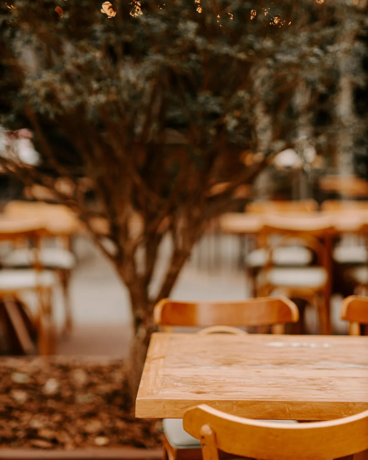 Reservation at OUTLAND restaurant - Belo Horizonte | KEYS