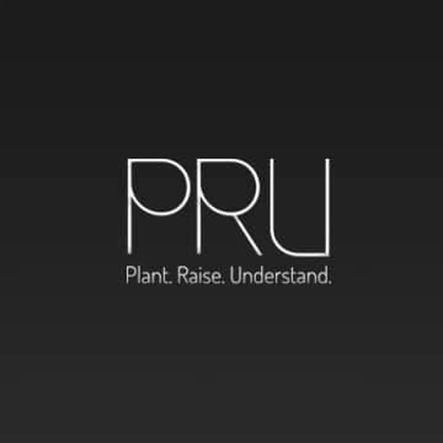 Reservation at PRU restaurant - Phuket | KEYS