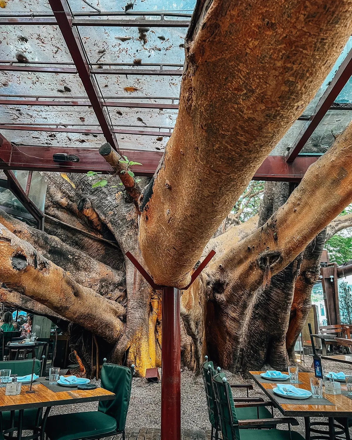 Reservation at A FIGUEIRA RUBAIYAT - São Paulo | KEYS