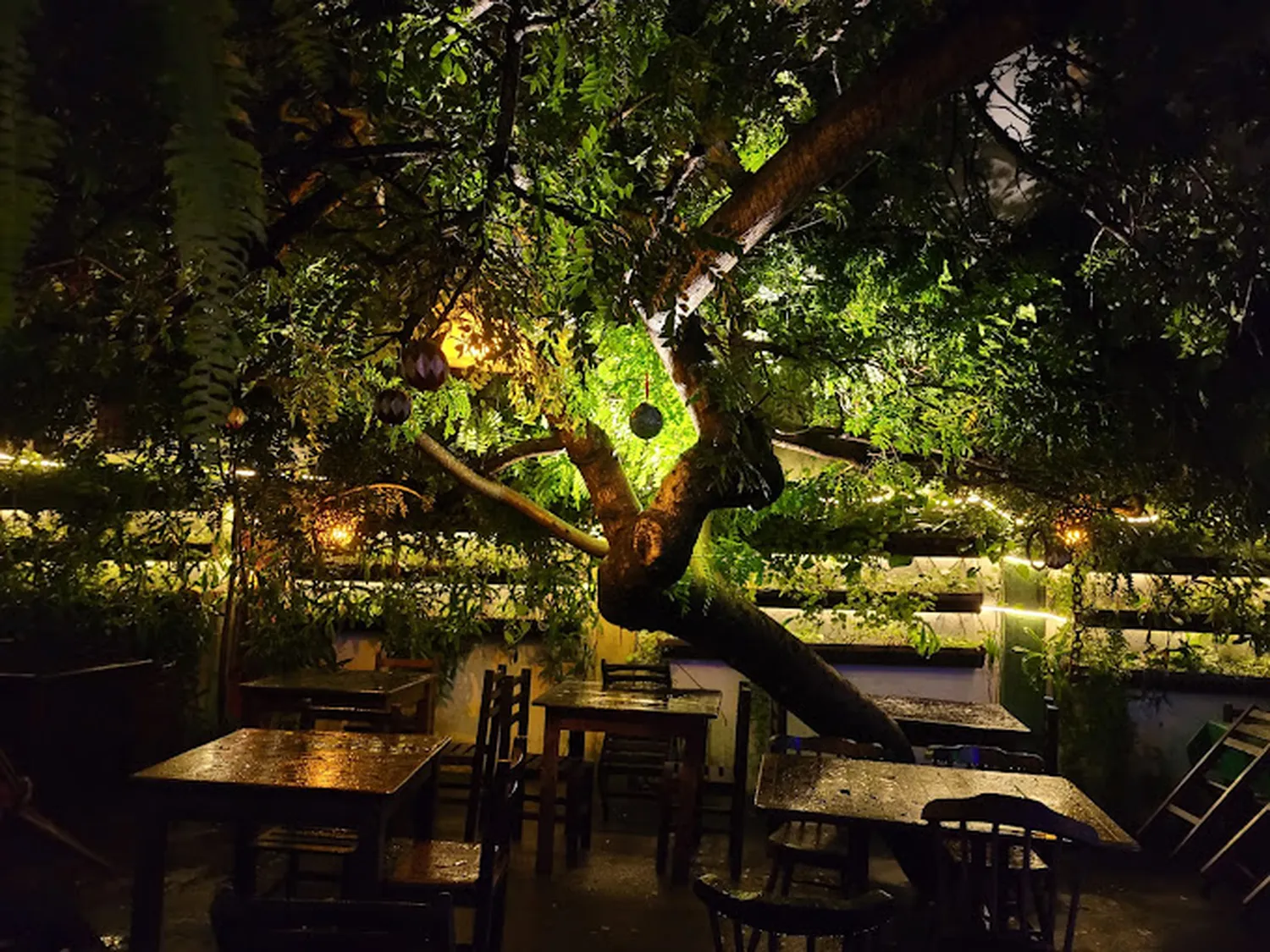 Reservation at CURVA DO VENTO restaurant - Natal | KEYS